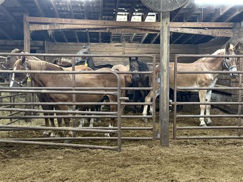 Michelle Taylor Epperson