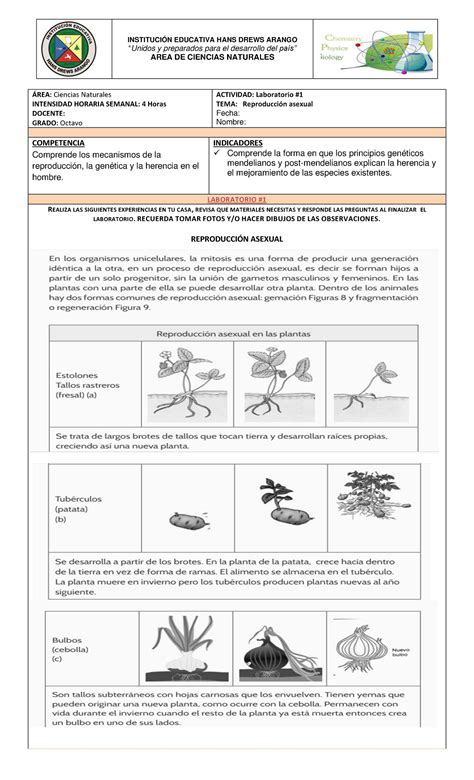 Laboratorio 1 Octavo Reproducción Asexual InstituciÓn Educativa