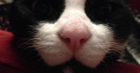 Imgur Meet Floppy Imgur