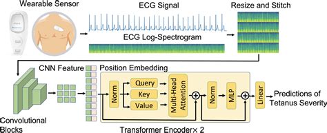 Figure 2 From Improving Classification Of Tetanus Severity For Patients