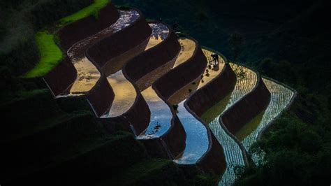 What Is A Commodity Chain In Agriculture Agruculture Lore