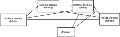 Conceptual Model Moderated Mediation Model Testing The Mediating