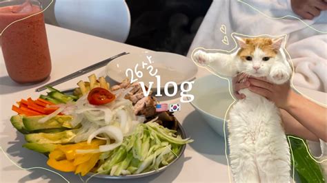 Vlog 일상브이로그 26살 주부의 남편 도시락 싸기 외식하구 월남쌈 해먹는 일상 23주 임산부 운동 Youtube