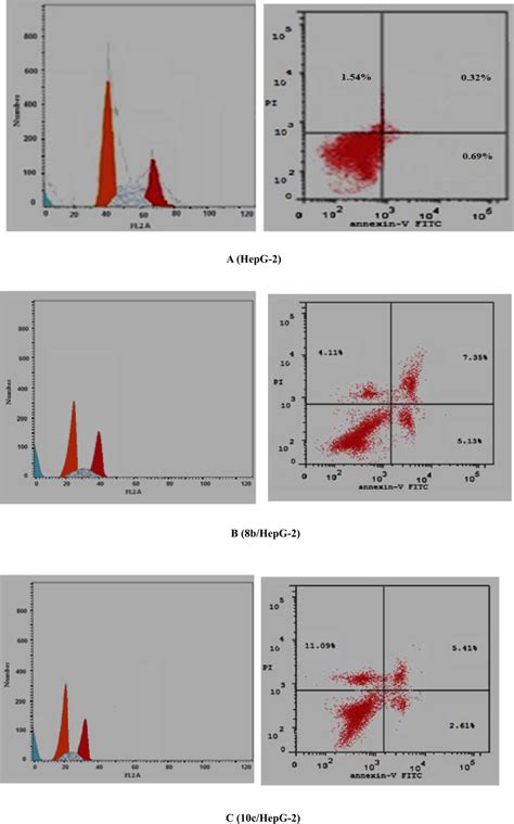 Cell Cycle Analysis A Control Hepg 2 B For Compound 8b C For