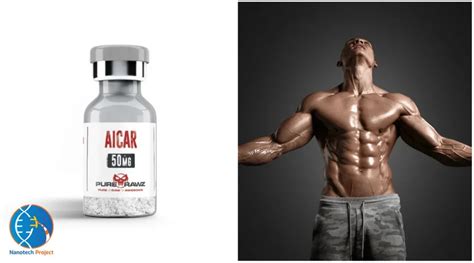 Aica Ribonucleotide Aicar Weight Loss Dosage Nanotech Project