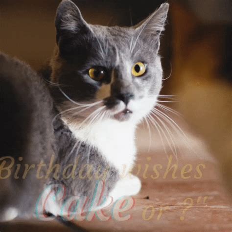 101 Animated Happy Birthday S The Ultimate Collection For Sharing