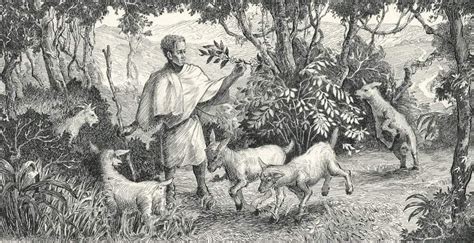 How Was Coffee First Brewed History Of Coffee Brewing