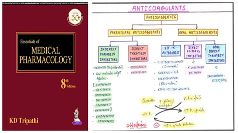 Anticoagulants Drug Classification Pharmacological Classification Of