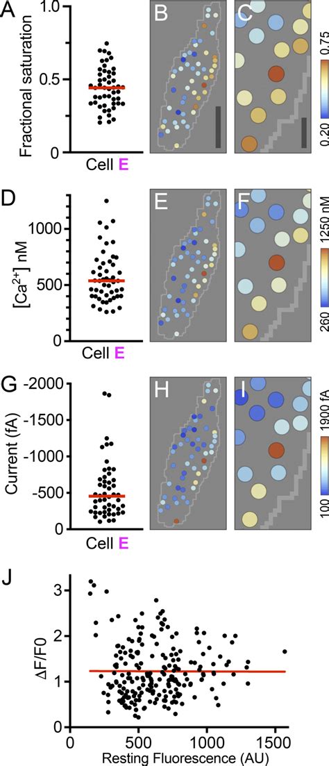 Measurement Of Current Through Individual Puncta A Plot Of The Download Scientific Diagram