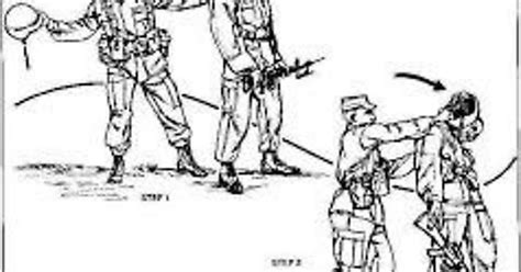 Turtle Fuck Him In The Back Of The Head Album On Imgur