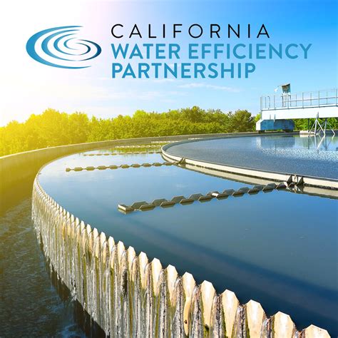 Calwep Humanity Media