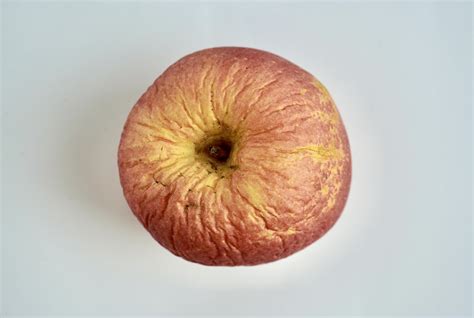 One Dry And Wrinkled Rotten Fuji Apple Fruit From Above Top Angle