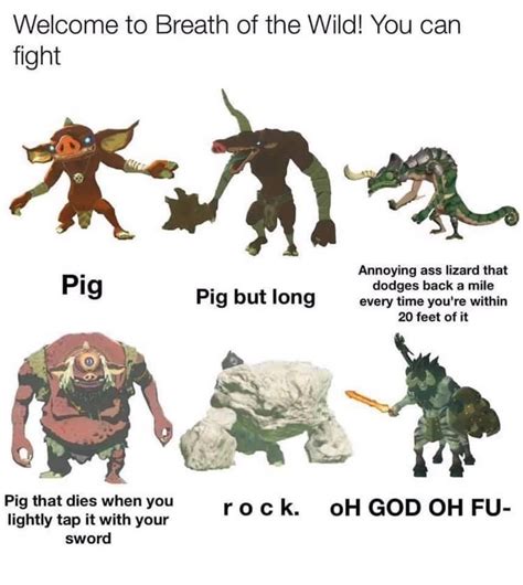 Botw Memes Best Collection Of Funny Botw Pictures On Ifunny Artofit