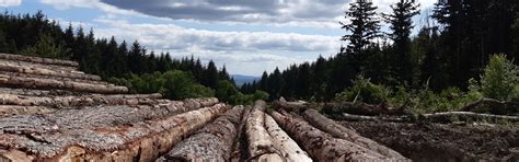 Avis De Décès De M Adrien Simard La Maison Commémorative Familiale