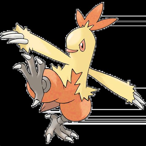 Combusken Nintendo Fandom