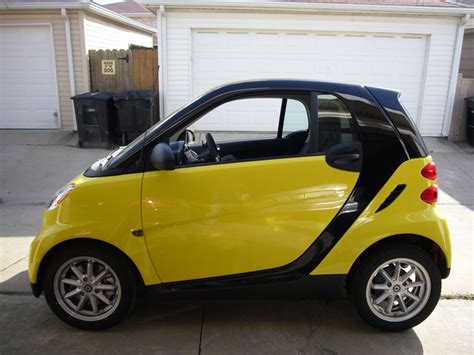 Momo Celebrating Time To Read Dougal The Garbage Dump Bear By Matt Dray