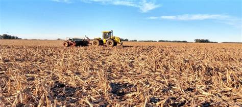 No Cabe Subestimar El Cuidado Del Suelo