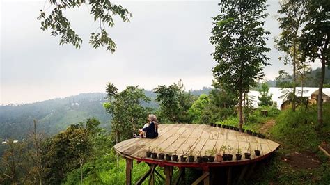 12 Tempat Wisata Di Pacet Terbaru Yang Lagi Hits Dan Murah 2025