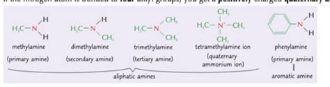 Chemistry Module 6 Section 2 Flashcards Quizlet