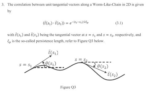Solved The Correlation Between Unit Tangential Vectors Along