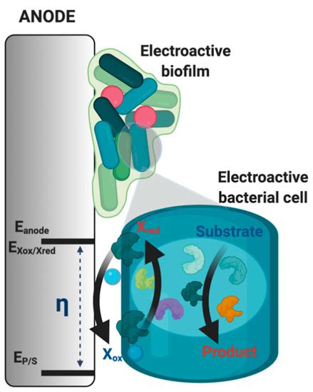 Biosensors Special Issue Biofuel And Biosolar Cells As Biosensing