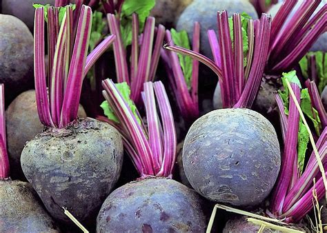 Beetroot Know About Its Nutrition Facts And Benefits