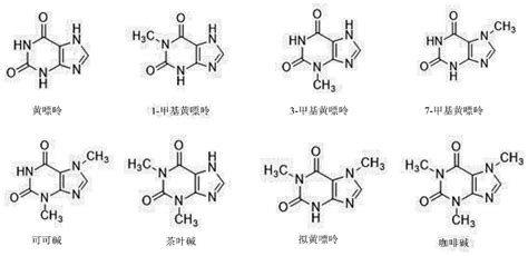 一种模块化工程黄嘌呤合成方法