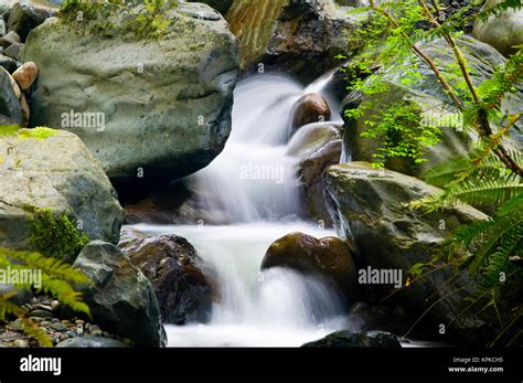 Usa Washington Olympic National Park Spring Waterfall In The Hoh