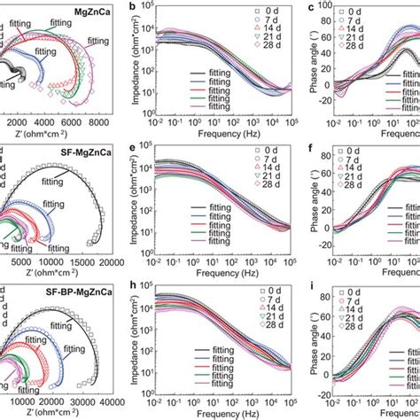 Nyquist Plots And Bode Plots Impedance Vs Frequency And Phase Angle Vs Download Scientific