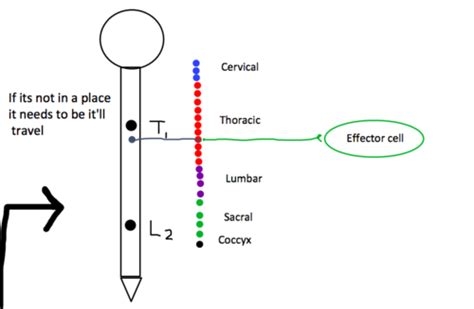 Unit Quiz Flashcards Quizlet Unit Quiz Flashcards Quizlet