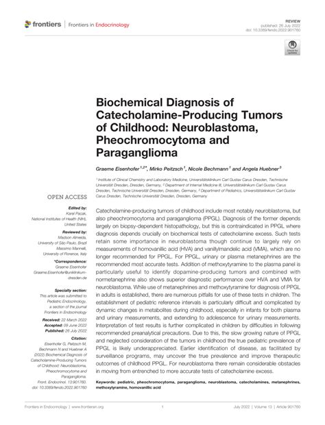 Pdf Biochemical Diagnosis Of Catecholamine Producing Tumors Of