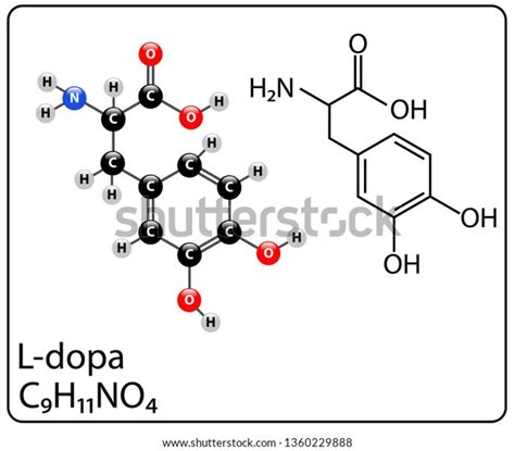 Ldopa Molecule Structure Stock Vector Royalty Free 1360229888 Shutterstock