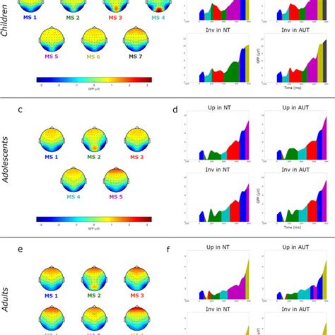 E Microstates Results For The Microstate Analyses Displaying The