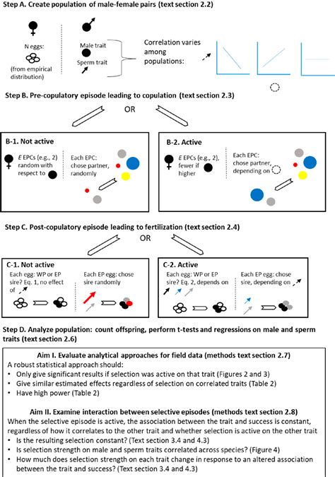 Figure 1 From Measuring Pre And Post Copulatory Sexual Selection And Their Interaction In