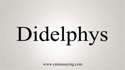 How To Say Didelphys Youtube
