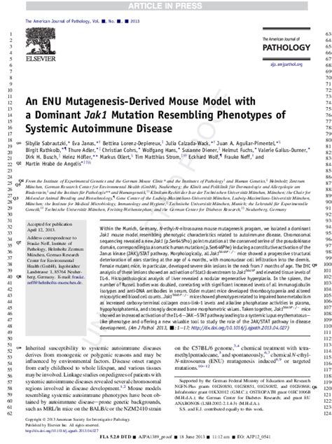 Pdf An Enu Mutagenesis Derived Mouse Model With A Dominant Jak1