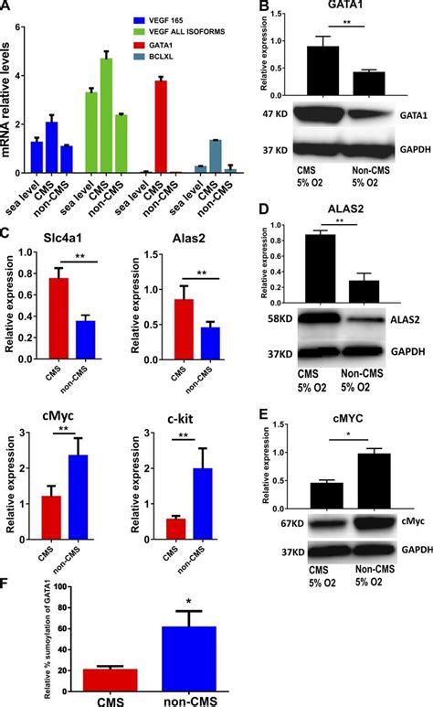 Significant Difference In Expression Between Cms Versus Non Cms And