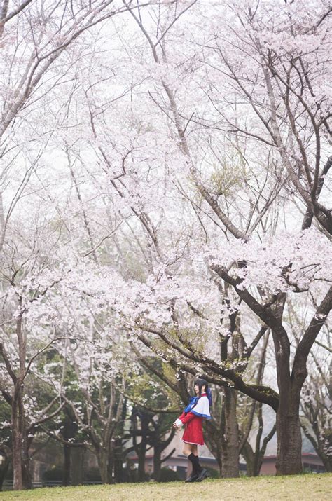 川澄舞で検索 コス写真まとめ コスピクセル コスプレ写真が集まるギャラリーサイト