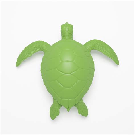 Turtle Print 3d By Cocartteam 3docean