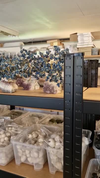 [video] Jacob Dalgaard On Linkedin New Products Just Arrived Love