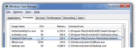 Adobegcclientexe Windows Process What Is It