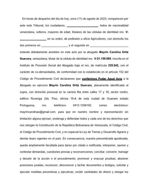 Modelo Poder Apud Acta Pdf Justicia Crimen Y Violencia