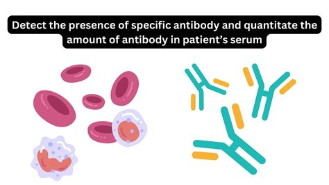 Immunology Practical Archives Biology Notes Online