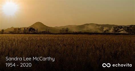 Sandra Lee Mccarthy Obituary 1954 2020 Allison Park Pennsylvania