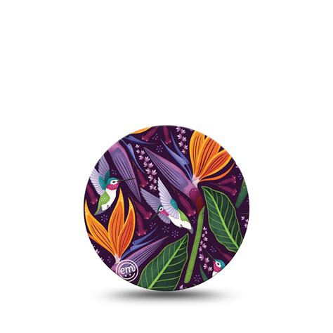 Expressionmed Hummingbird Libre 3 Overpatch