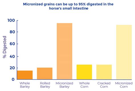All About Micronization Hygain Horse Feeds And Supplements
