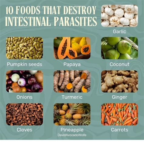Devotion Essentials On Instagram Check Out These 10 Foods That Help Kill Intestinal Parasites