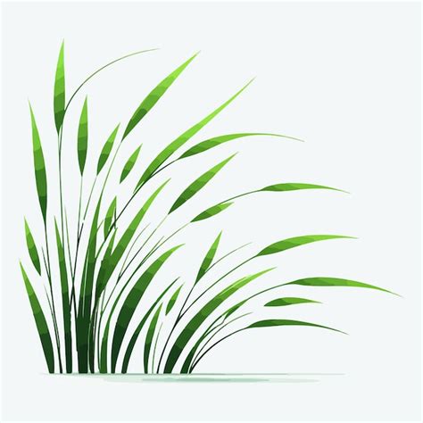 Premium Vector Grass Vector For Your Design