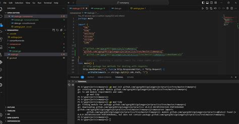 Go Packages And Project Structure And Github Throwing Error Code Review Go Forum