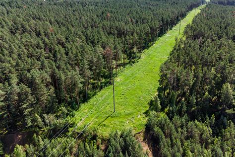 Intren Shade Tree Announces New Roles In Operations Leadership